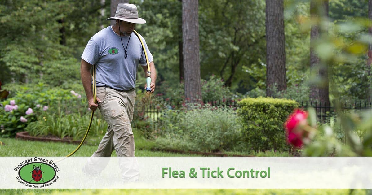 Flea, Tick & Mosquito Control | Pleasant Green Grass