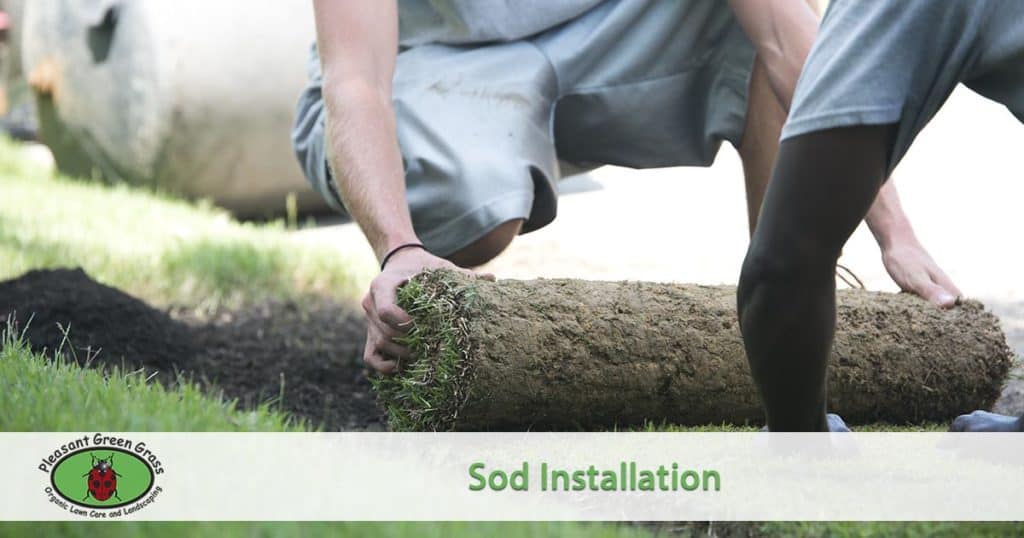 Sod Installation | Pleasant Green Grass